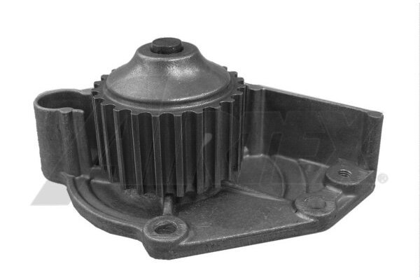 Pumpa za vodu 102028 - Land Rover, Rover