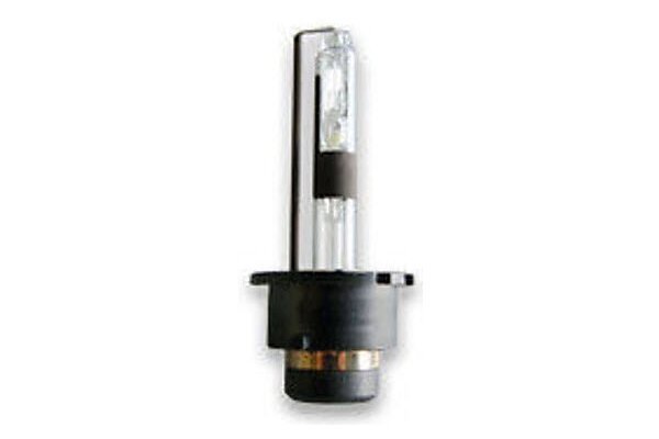 Sijalica D2R 12/24V 35W, Pk32d-2