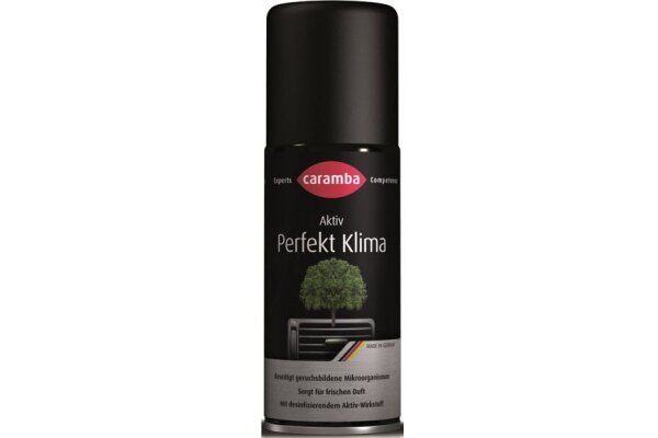 Sredstvo za čišćenje (dezinfekciju) klime 100ml