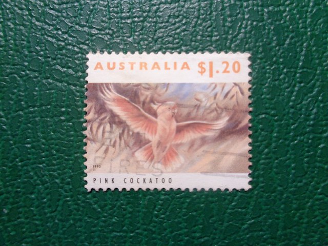 svet 11730 australia