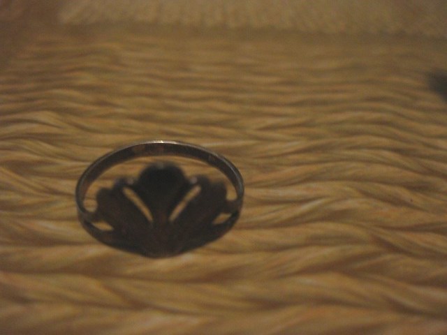 Metalni prsten