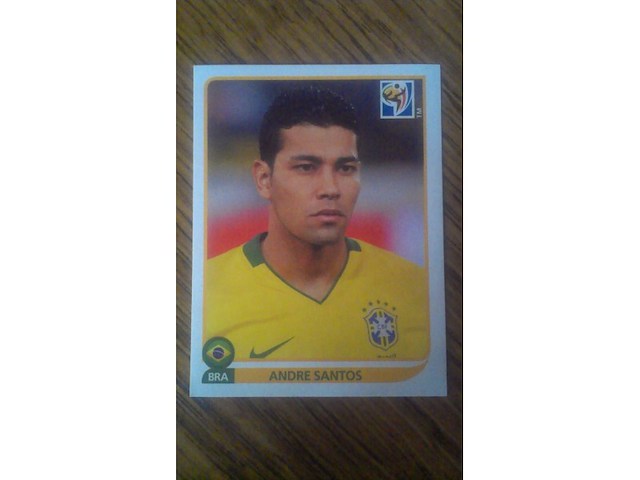 Panini FIFA 2010 J.Afrika sličica broj 494