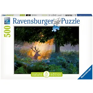 Ravensburger Ravensburger puzzle 500 delova - Magična scena (14719)