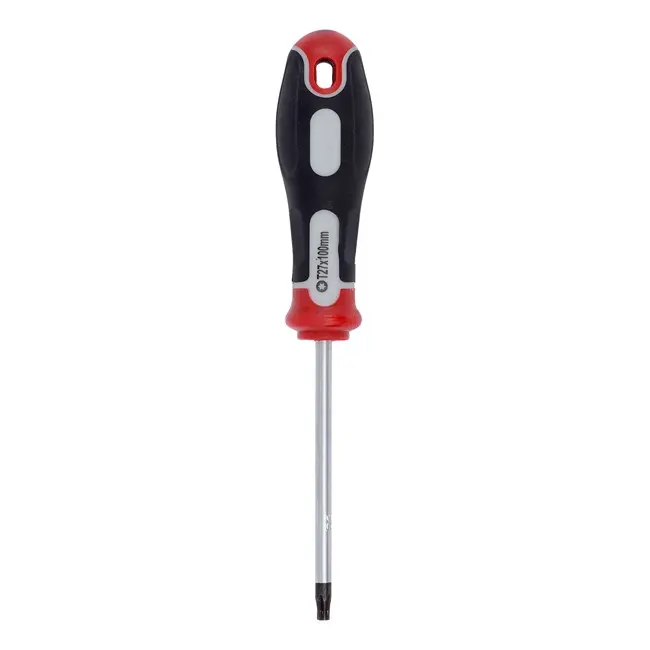 Šrafciger torx t27x100