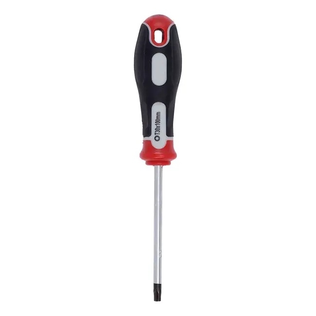 Šrafciger torx t30x100