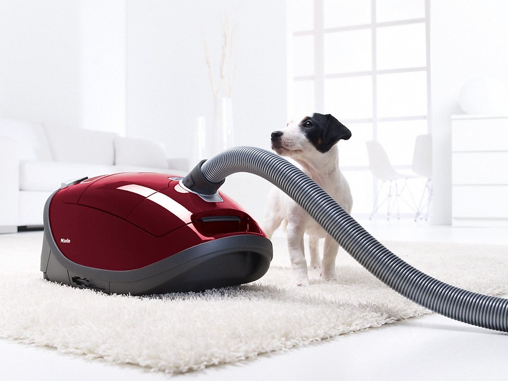 Miele usisivač Complete C3 Cat&Dog PowerLine - SGEA3