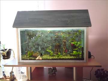 krov za akvarijum