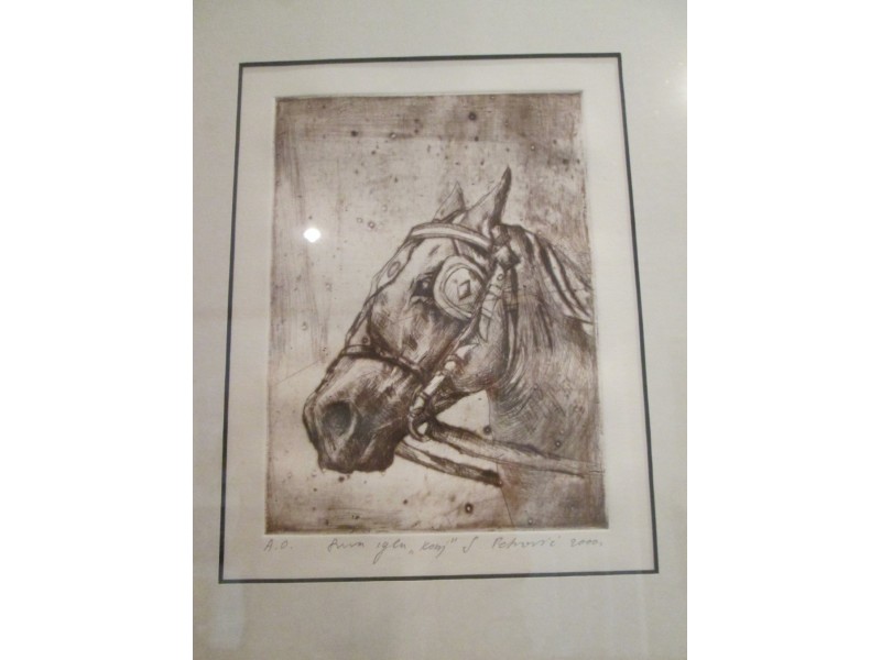 Grafika `Konj` , Snežana Petrović