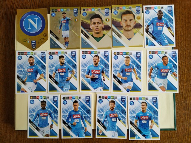 Adrenalyn XL FIFA 365 - 2019 - lot kartica Napoli