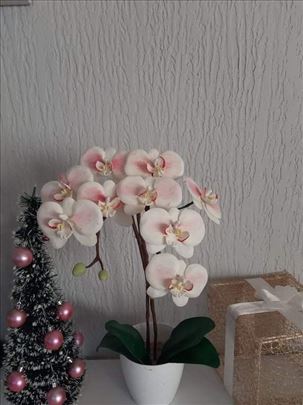 Orhideja od hladnog porcelana