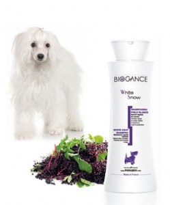 Biogance šampon za bele pse