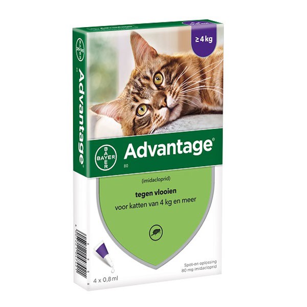 Advantage cat 80ml jedna ampula