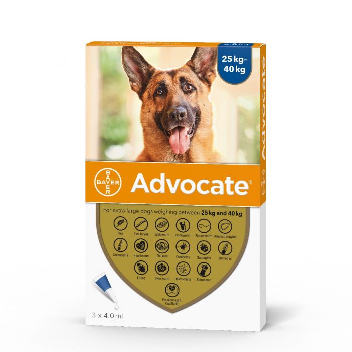 Advocate za pse od 25-40kg jedna ampula, lek dostupan na veterinarski recept
