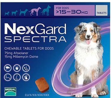 NEXGARD spectra L 15-30kg jedna tableta, dostupno samo na recept veterinara u shopu