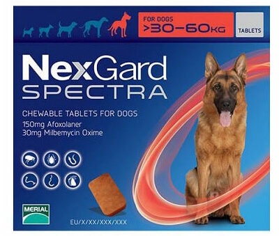NEXGARD spectra XL 30-60kg jedna tableta, dostupno samo na recept veterinara u shopu