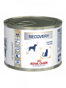 Royal canin Recovery pašteta 195g