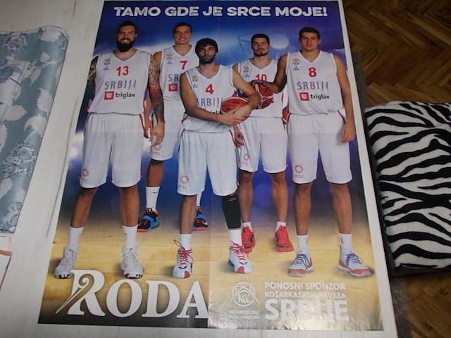 Poster košarkaši Srbije (2009 godine)