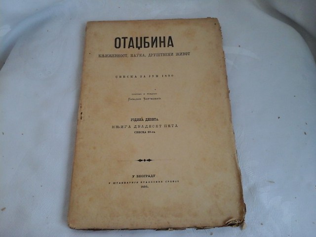 Otadžbina književnost nauka jun 1890 sveska 99