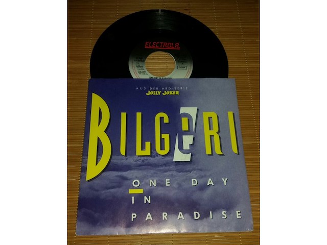 Bilgeri ‎– One Day In Paradise