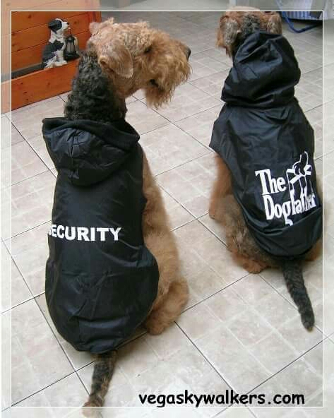 Kaput za velike pse SECURITY