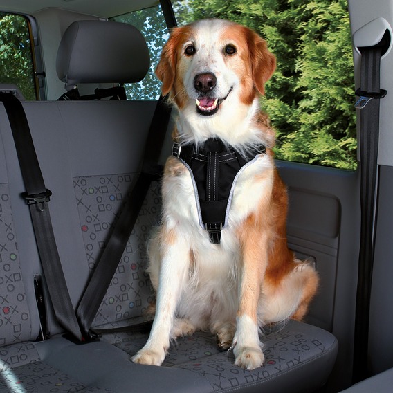 Sigurnosni pojas za psa za automobil mod.2
