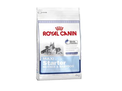 Royal Canin Maxi Starter - Hrana za štenad velikih rasa do 2 meseca, skotne kuje i kuje u laktaciji