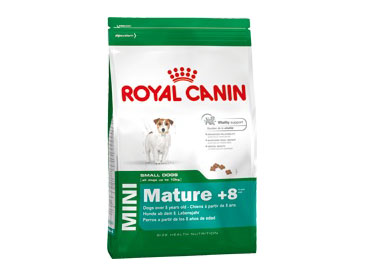 Royal Canin mini Mature +8 - Hrana za stare pse malih rasa preko 8 godina