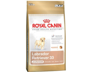 Royal Canin Zlatni Retriver Junior - Hrana za retrivere od 2 do 15 meseci