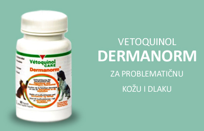 Vetoquinol: DERMANORM za problematičnu kožu i dlaku
