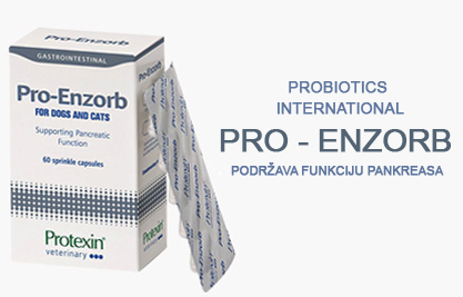 Probiotics International: PRO – ENZORB dodatak ishrani koji podržava funkciju pankreasa