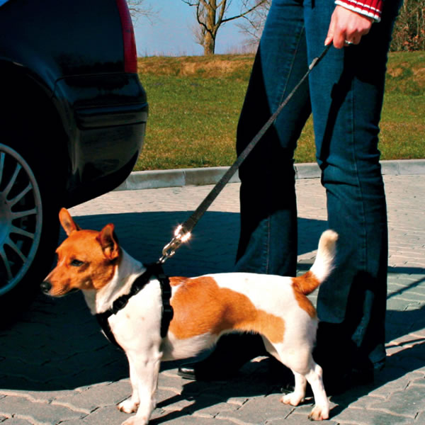 Trixie: Povodac za pse za auto