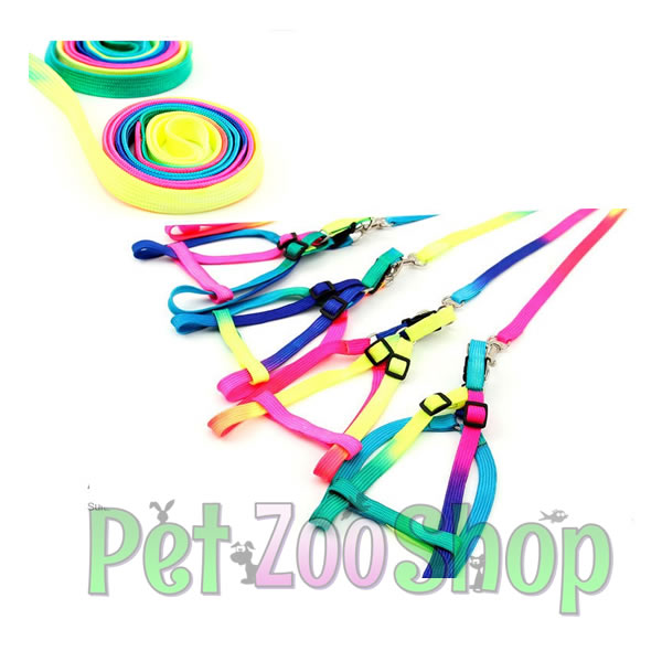 Set povodac+am za pse Rainbow, 1.0*120cm