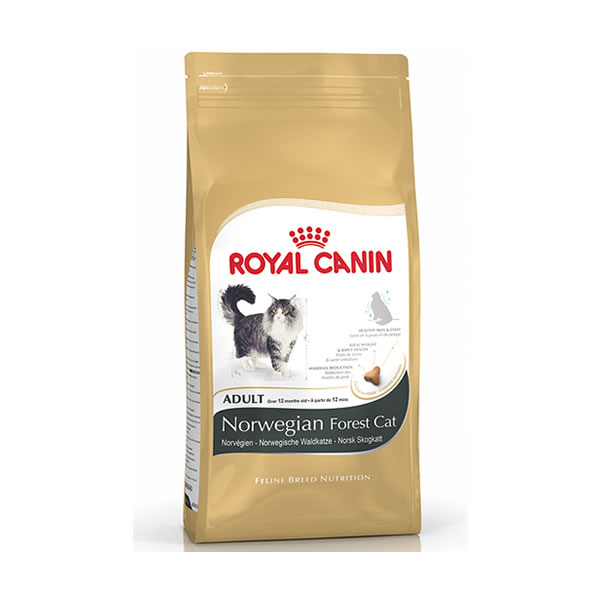 Royal Canin: Hrana za mačke NORWEGIAN FOREST CAT, 2 kg
