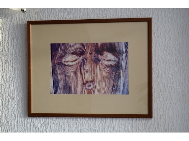Fotografija `Portret tužne vrbe` 46x36cm