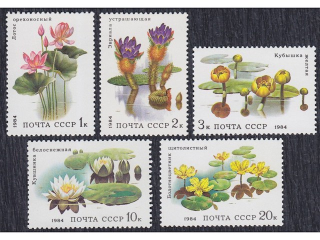 Rusija 1984 Flora - Vodene biljke, čisto (**)