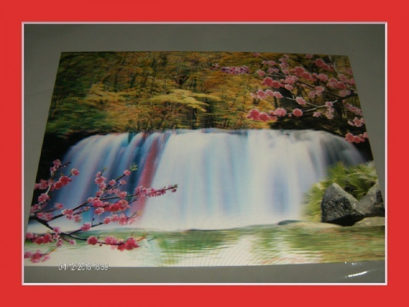 PRELEPA 3-D SLIKA 35X25cm-