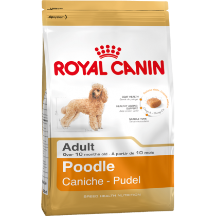 Royal Canin POODLE 0.5kg