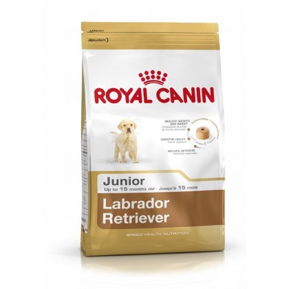 Royal Canin LABRADOR JUNIOR 12kg