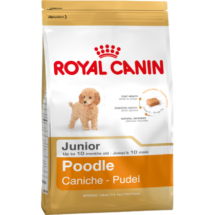 Royal Canin POODLE JUNIOR 0.5kg