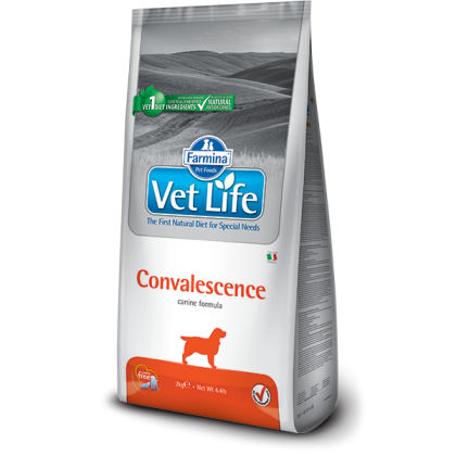 CONVALESCENCE DOG 2kg Farmina Vet Life