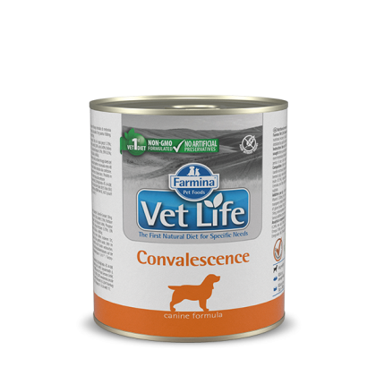 CONVALESCENCE DOG 300gr KONZERVA Farmina Vet Life