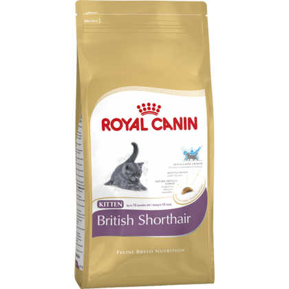 Royal Canin BRITISH SHORTHAIR KITTEN 34 2kg