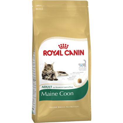 Royal Canin KITTEN MAINECOON 2kg
