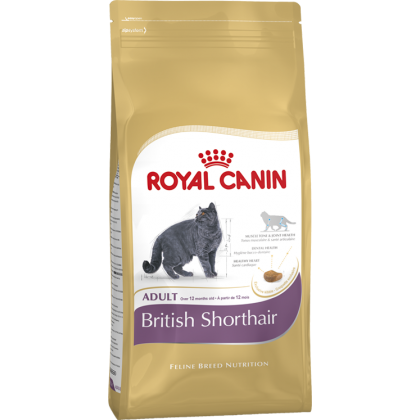 Royal Canin BRITISH SHORTHAIR 34 2kg