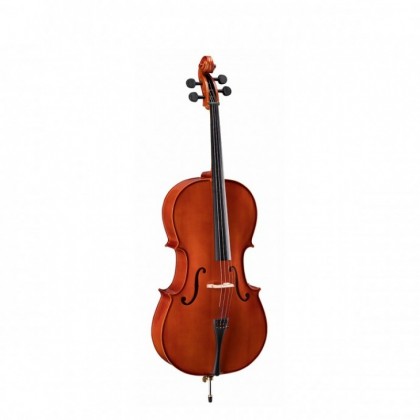Music box
Soundsation VSCE-34 cello