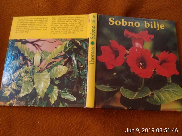 EDITHA THOMAS, SOBNO BILJE