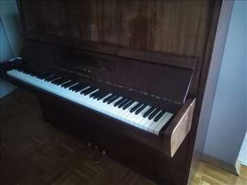 Pianino Tchaika, Beograd