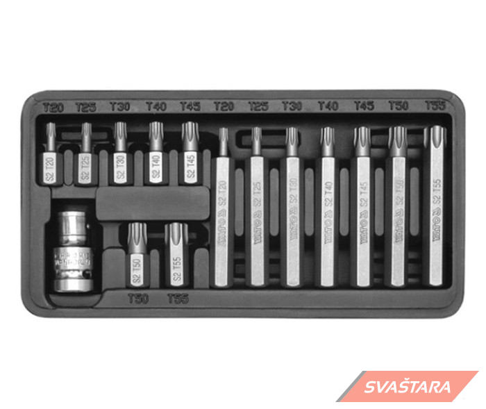 Profesionalni set nastavaka sa torx T20-T55,15 kom