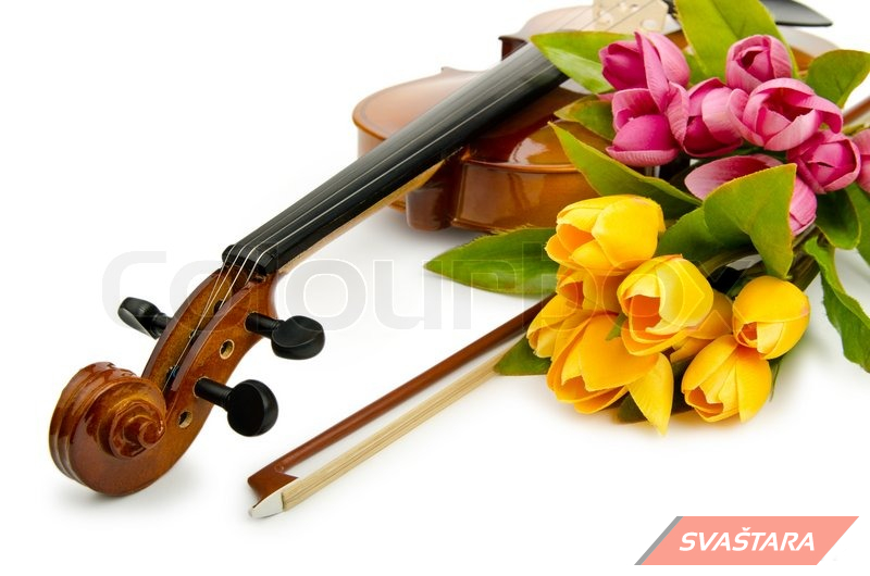 Privatni časovi violine i solfeđa