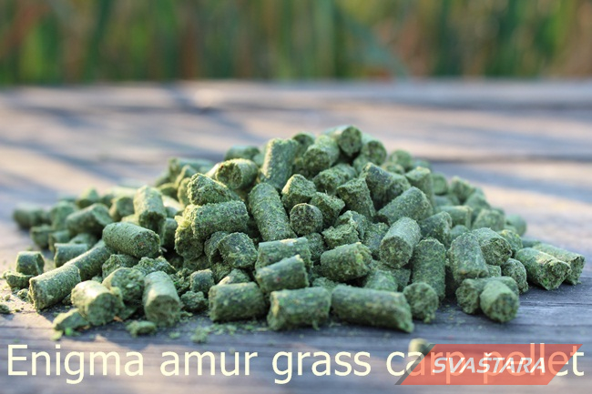 Enigma amur grass carp pellet